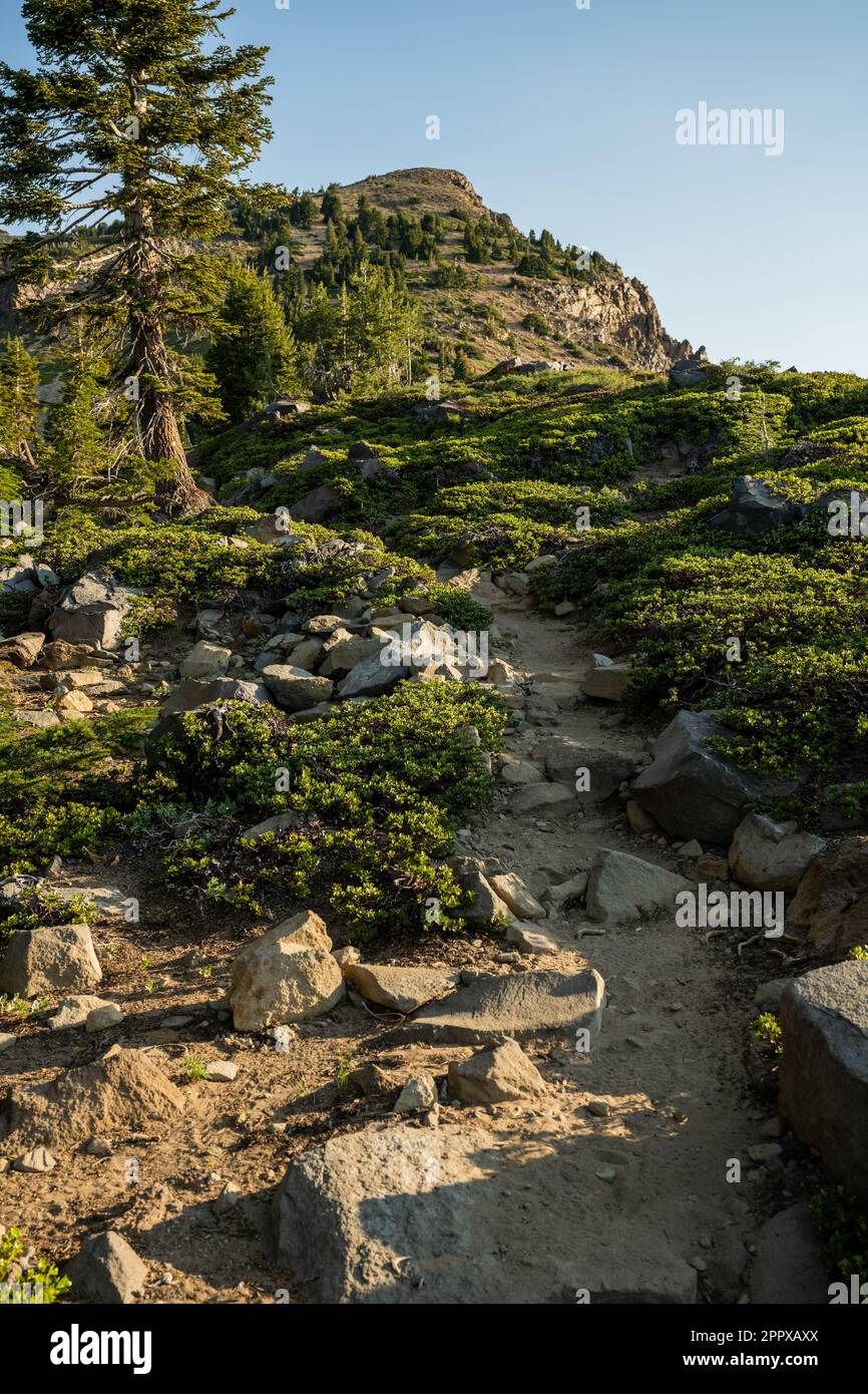 Trail Cuts Through Low Bushes to Ascend Toward Brokeoff Mountain in ...