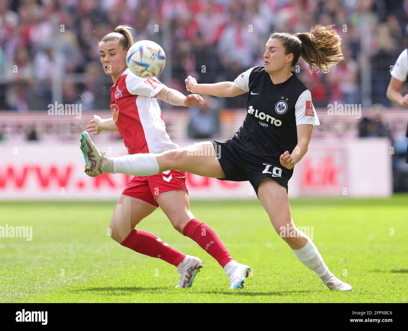 Cologne, Deutschland. 23rd Apr, 2023. firo : 04/23/2023 football ...