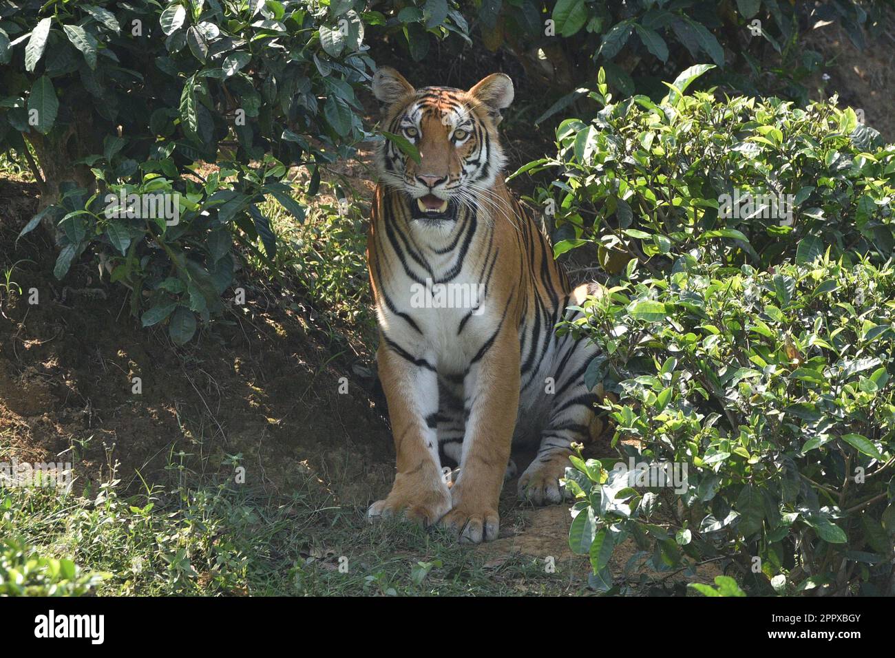 24 apr 2023 hi-res stock photography and images - Alamy