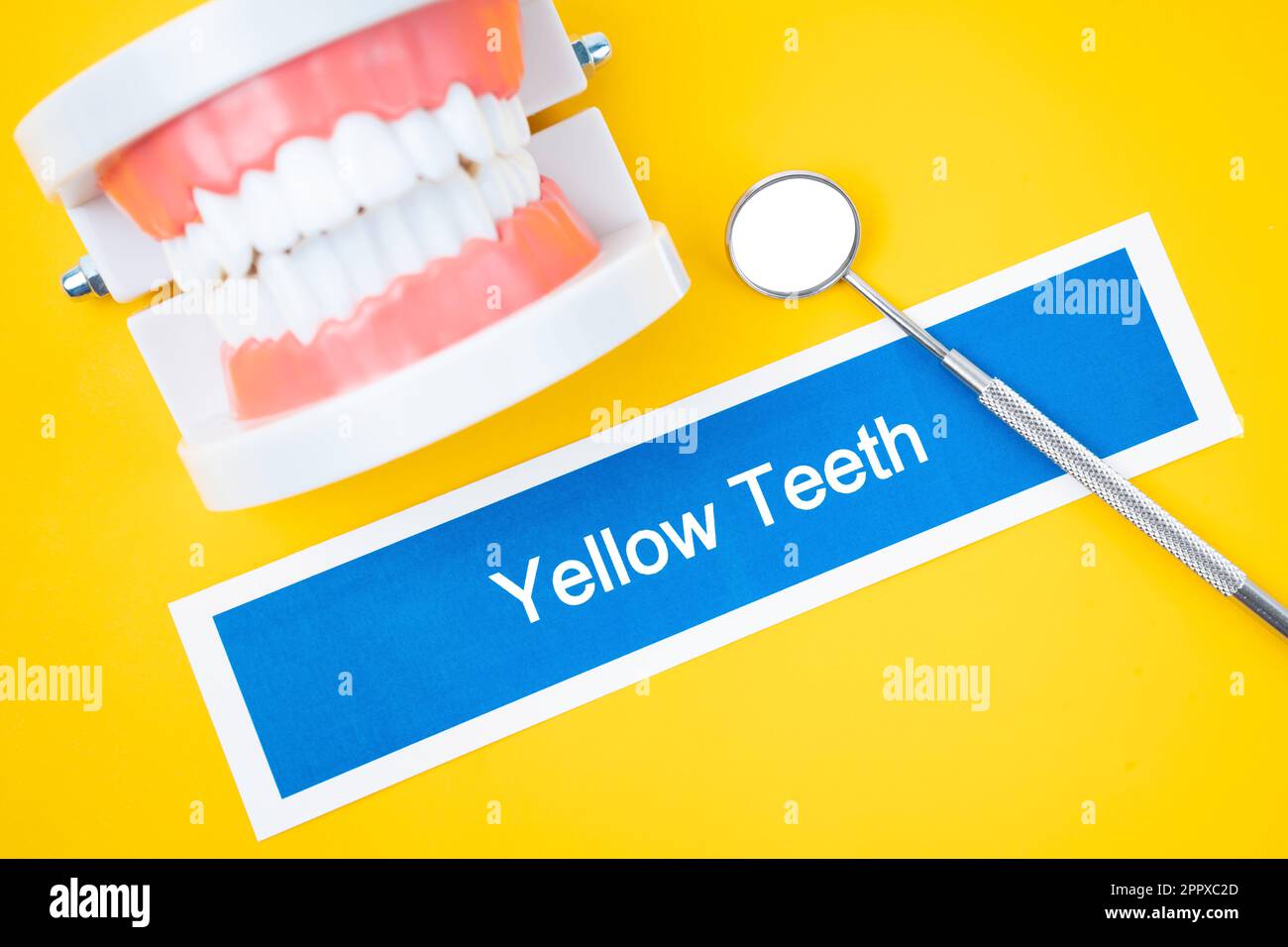 Dentures model with Yellow teeth dental disease with mirror on yellow ...