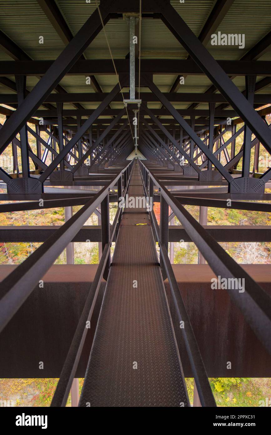 A metallic bridge with a steel frame structure and beams spanning ...