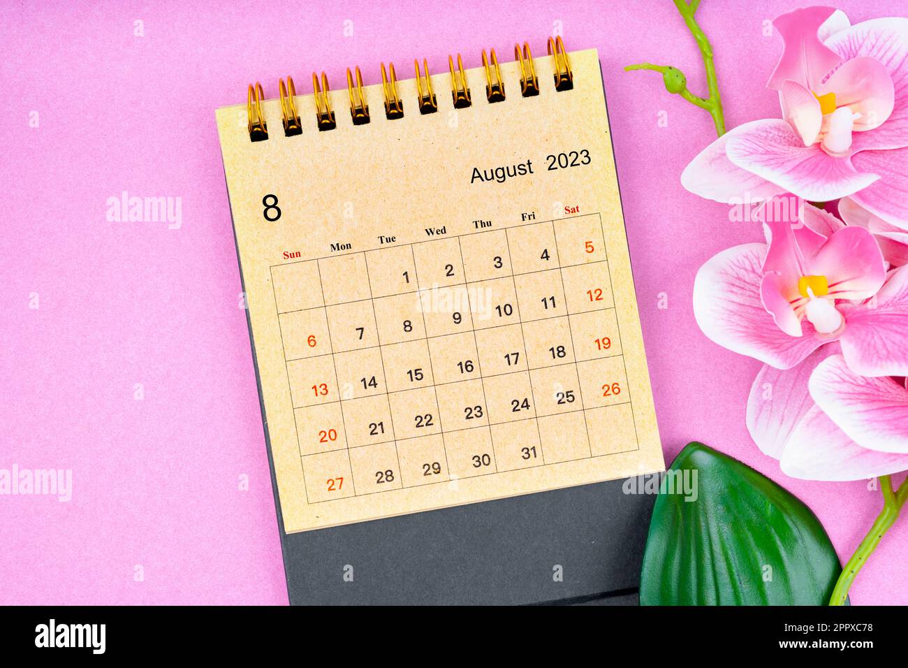 August 2023 calendar desk and pink orchid on pink background Stock ...