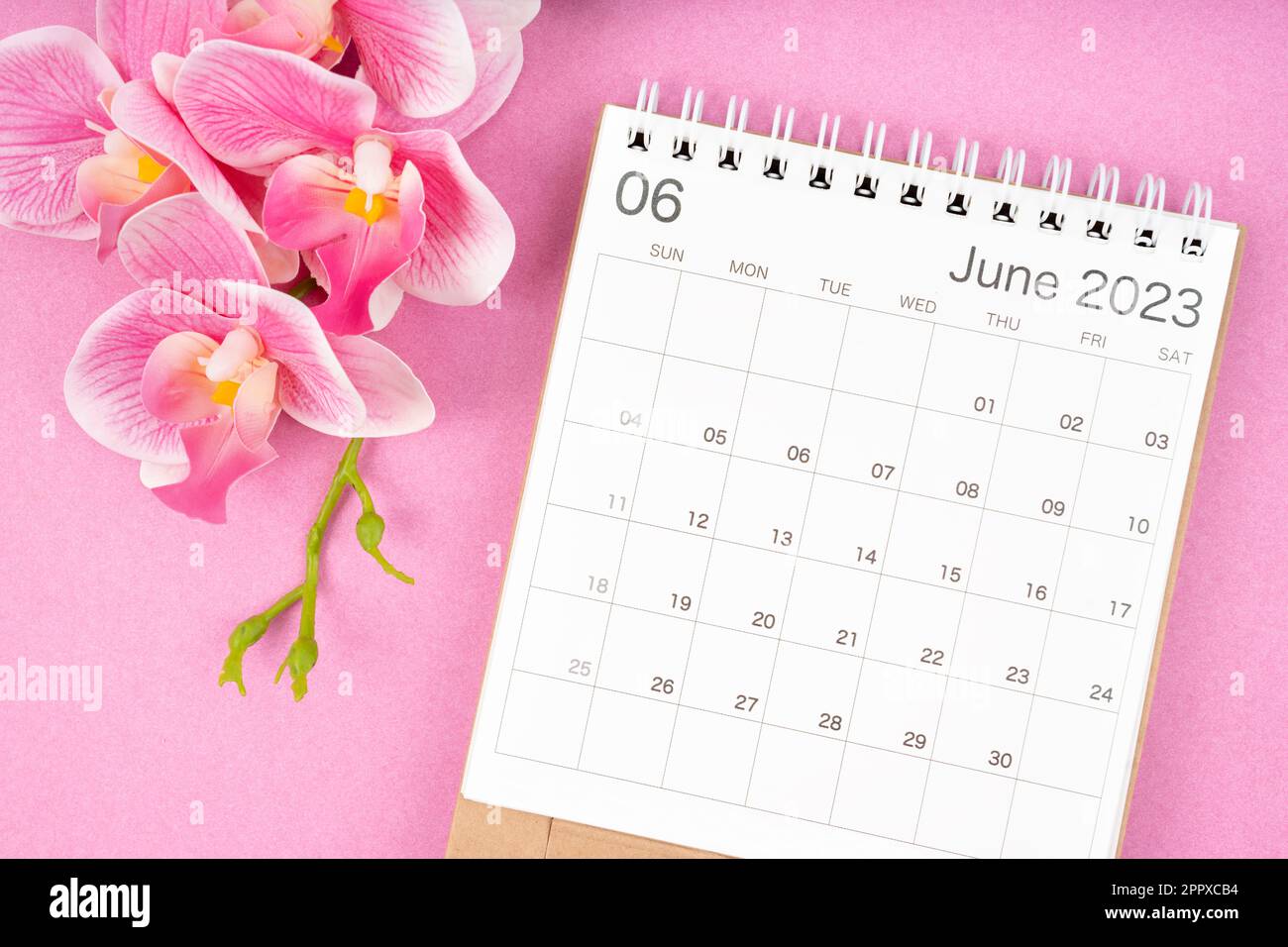 June 2023 calendar desk and pink orchid on pink color background Stock ...