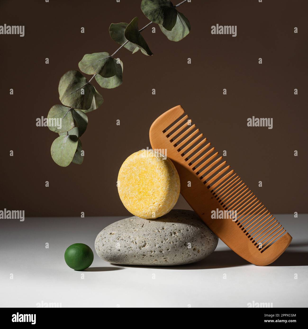 Modern geometric still life composition of a solid shampoo bar. Shampoo ...