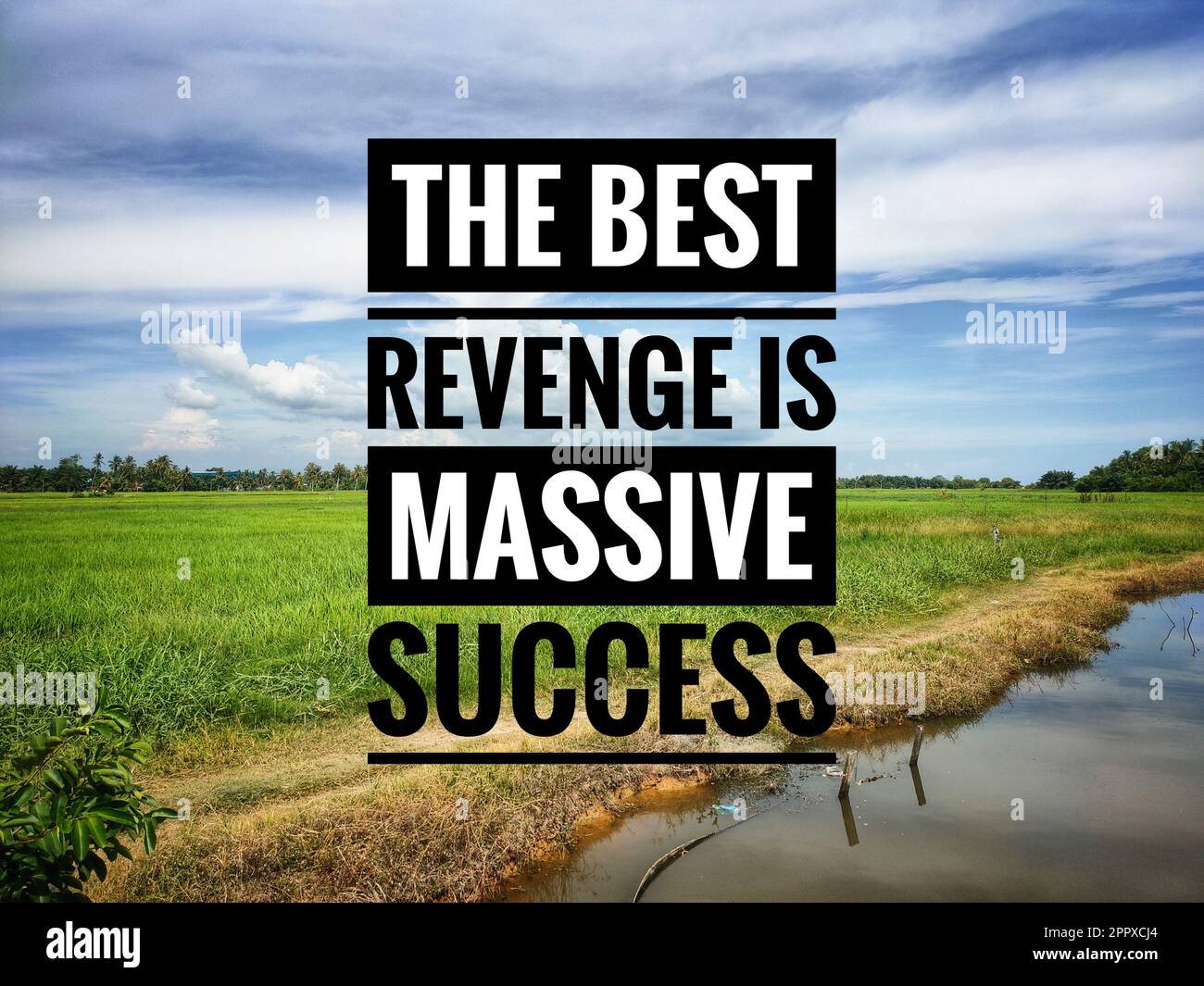 Motivational and qoute with the word THE BEST REVENGE IS MASSIVE ...