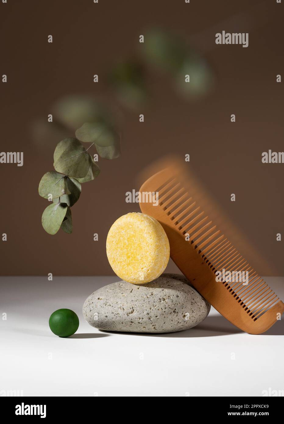 Abstract still life composition of solid shampoo bar with surreal ...