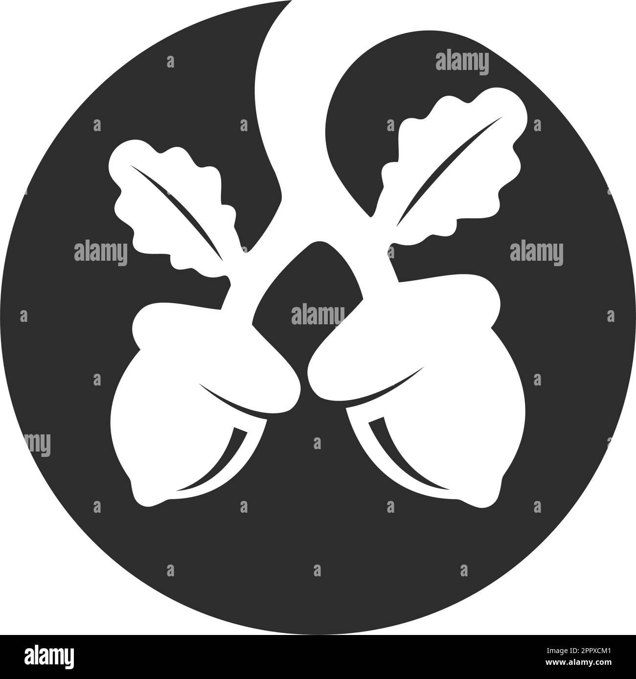 oak acorn vector illustration design Stock Vector Image & Art - Alamy