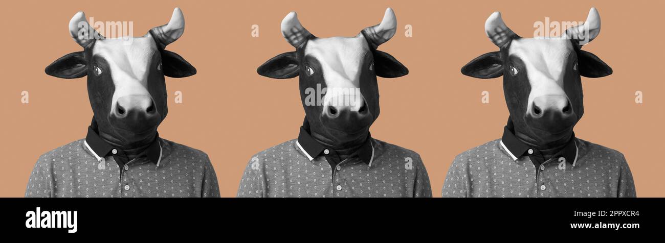 three men wearing cow masks in black and white on a brown background in ...