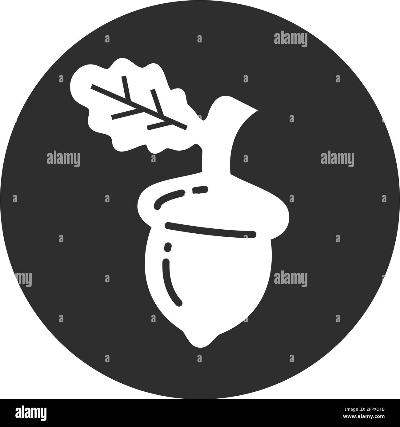 oak acorn vector illustration design Stock Vector Image & Art - Alamy