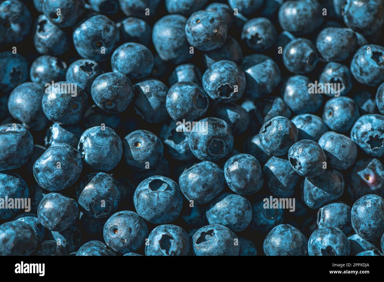 Fresh blueberry background. Texture blueberry berries close up Stock ...