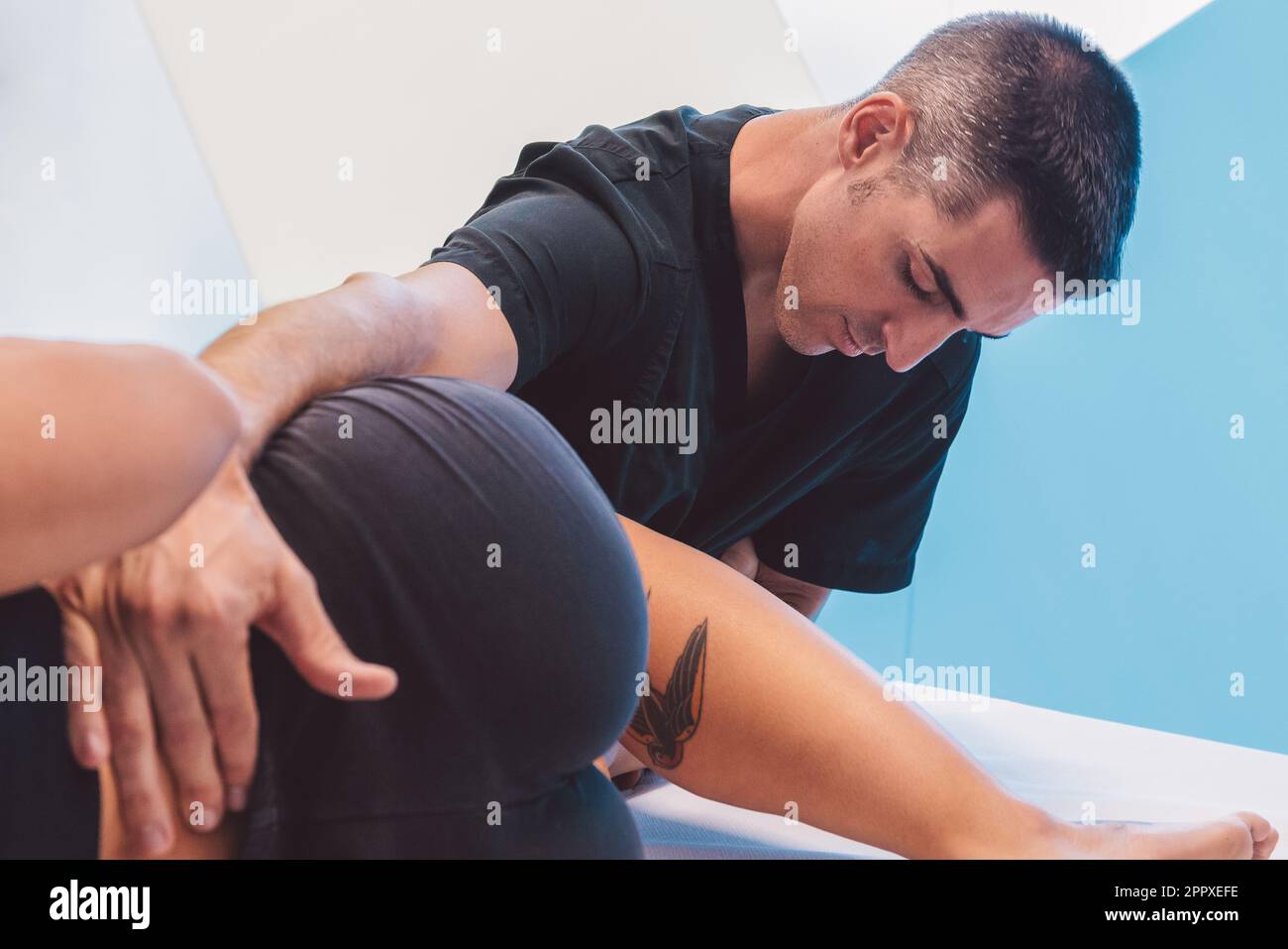 Concentrated male osteopath in black t shirt massaging leg of patient ...