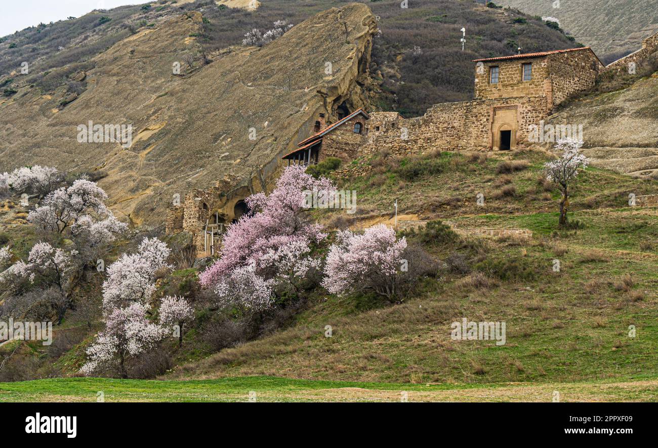 Ancient rock monastery david hi-res stock photography and images - Alamy
