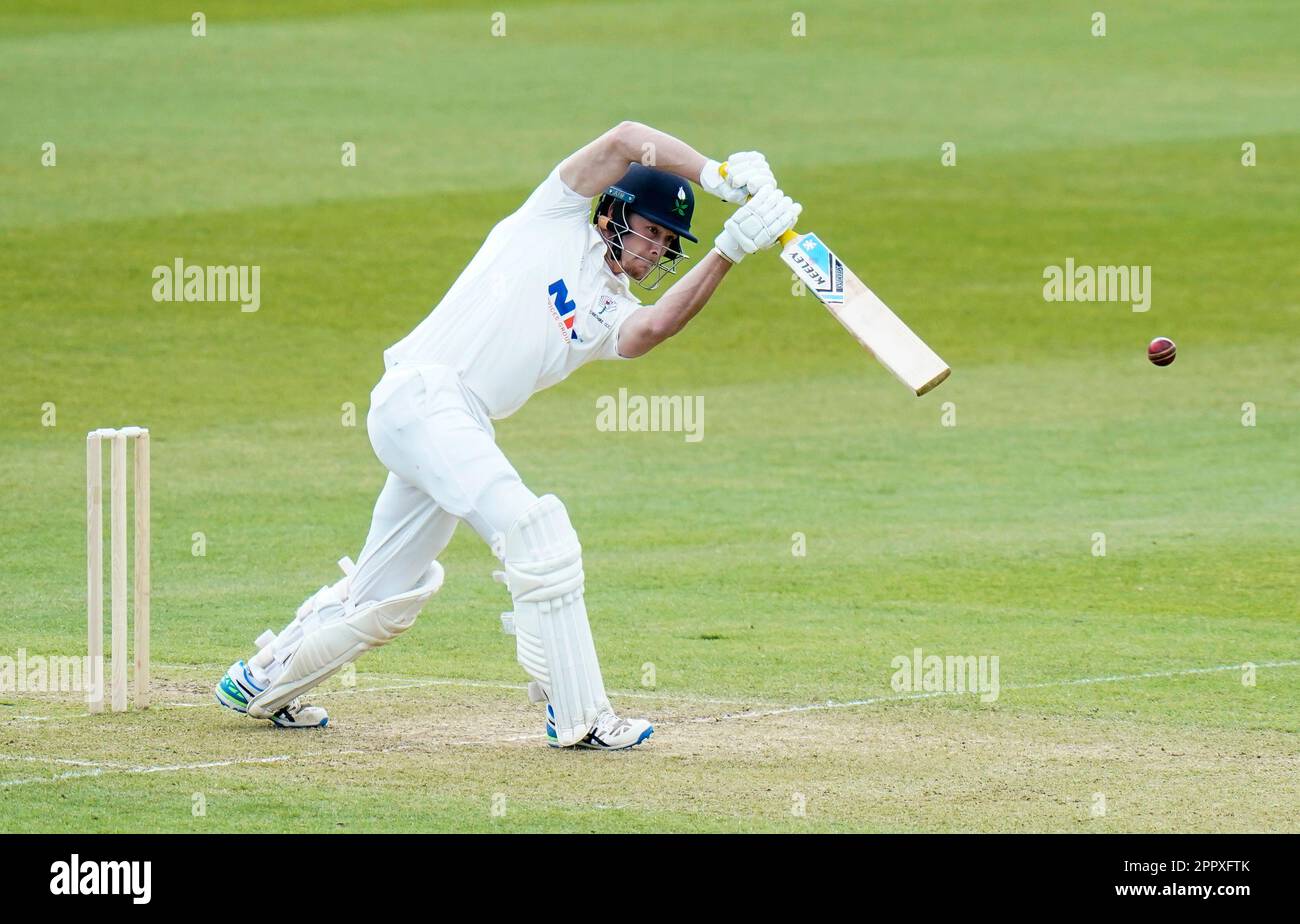 Finlay bean hi-res stock photography and images - Alamy