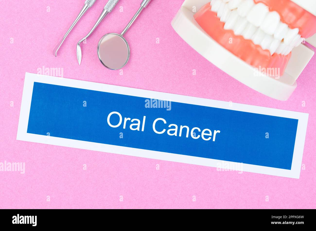 Oral Cancer dental disease and teeth model with tools on pink color ...