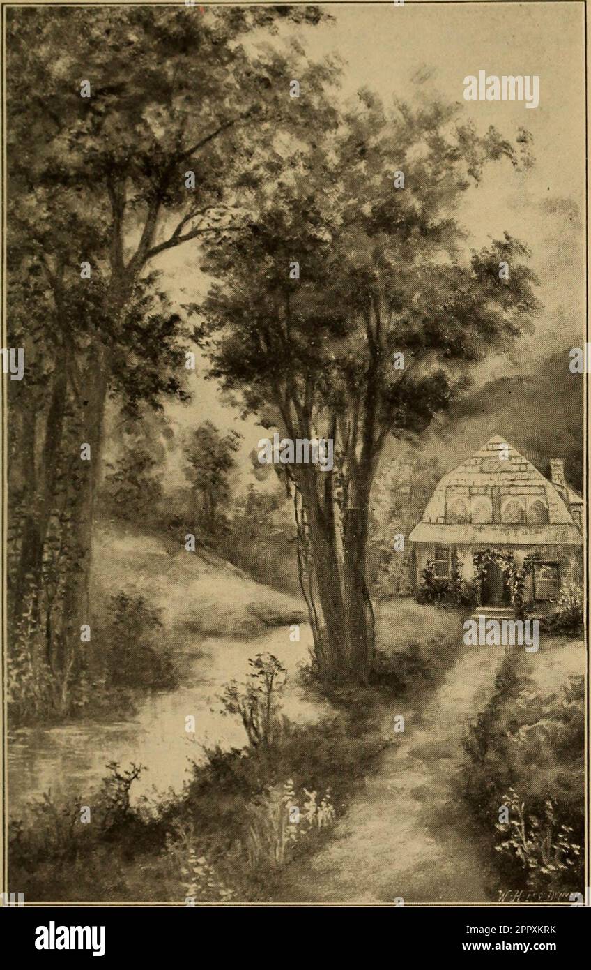 "Two sides to a picture: a revelation between two planes" (1903 Stock ...