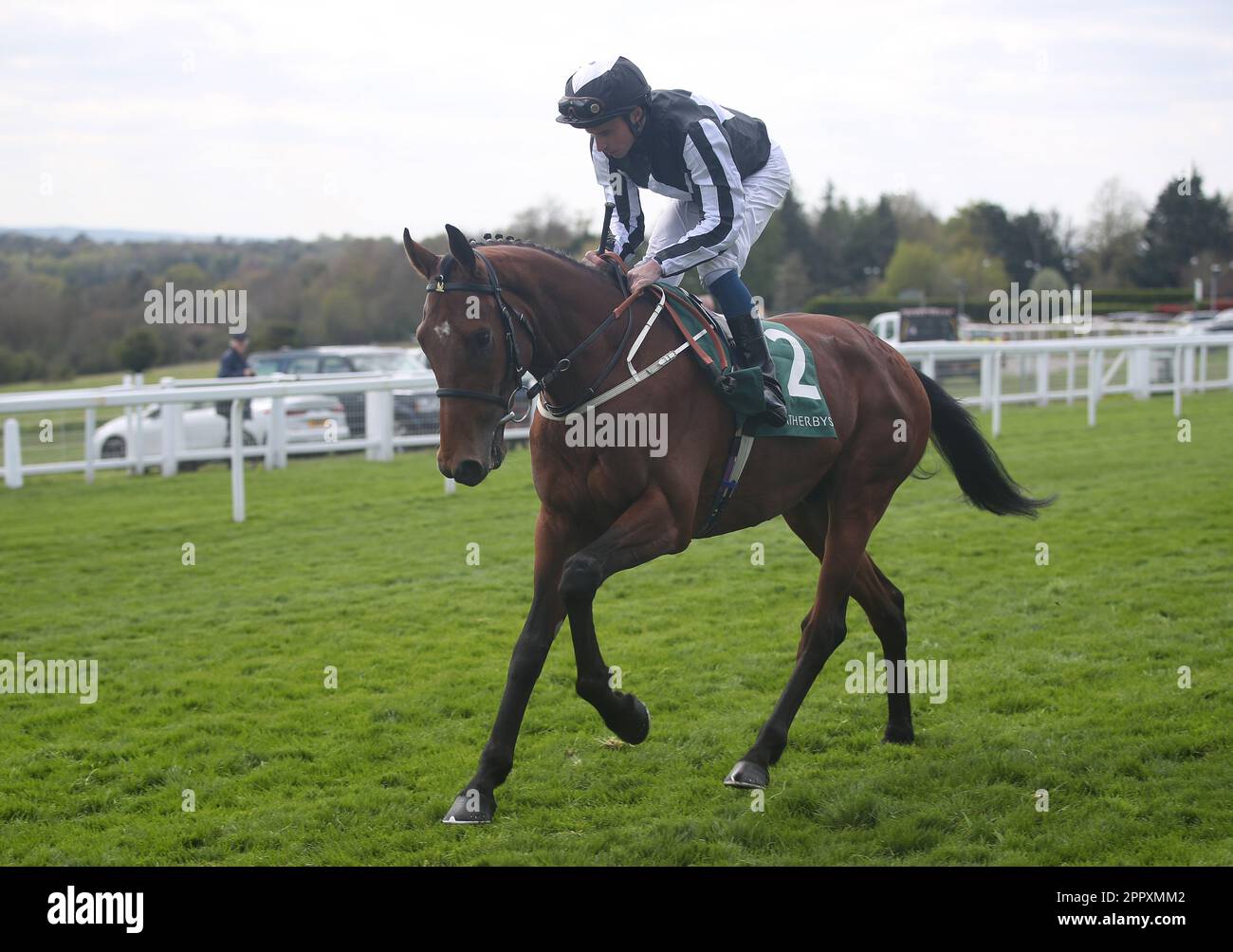 Hadrianus and William Buick going to post before the Weatherbys Digital ...