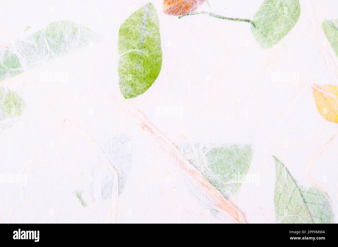 Handmade recycled leaf paper background Stock Photo - Alamy