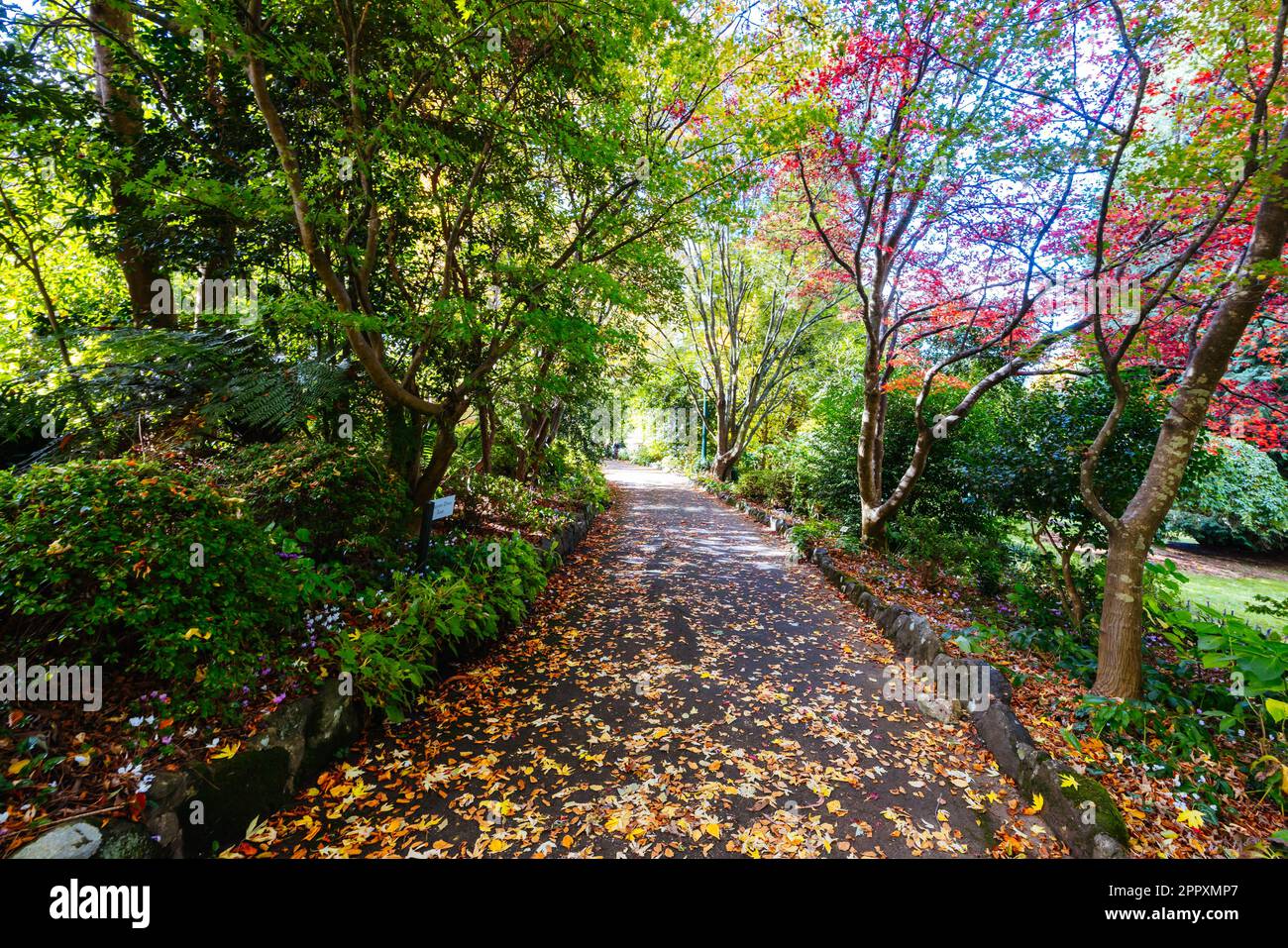 George Tindale Memorial Gardens in Australia Stock Photo - Alamy