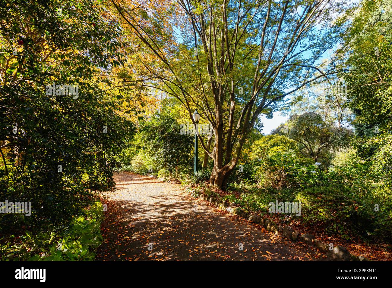 George Tindale Memorial Gardens in Australia Stock Photo - Alamy