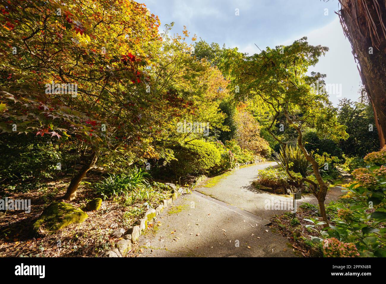 George Tindale Memorial Gardens in Australia Stock Photo - Alamy