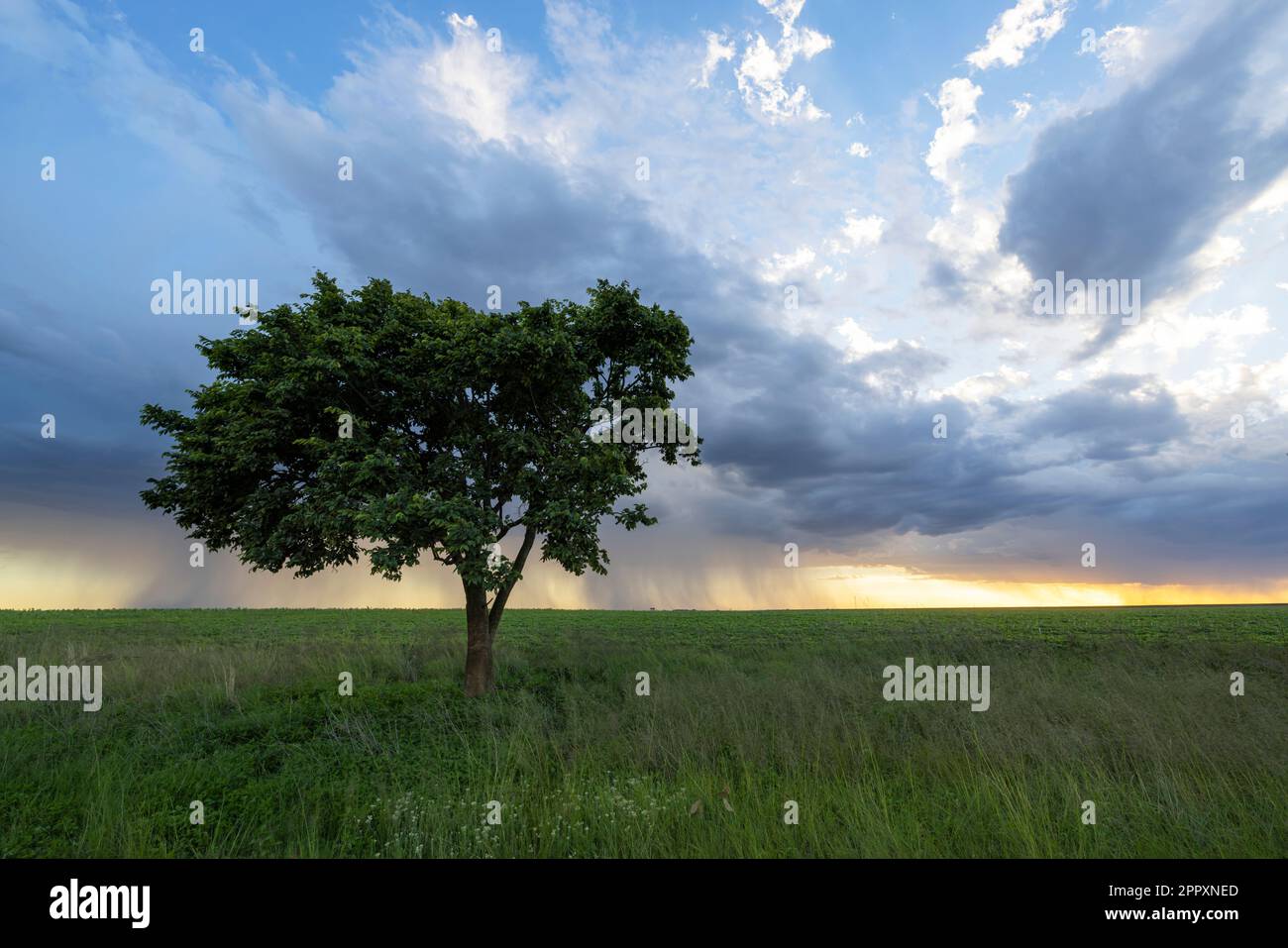 Thunder shower hi-res stock photography and images - Alamy