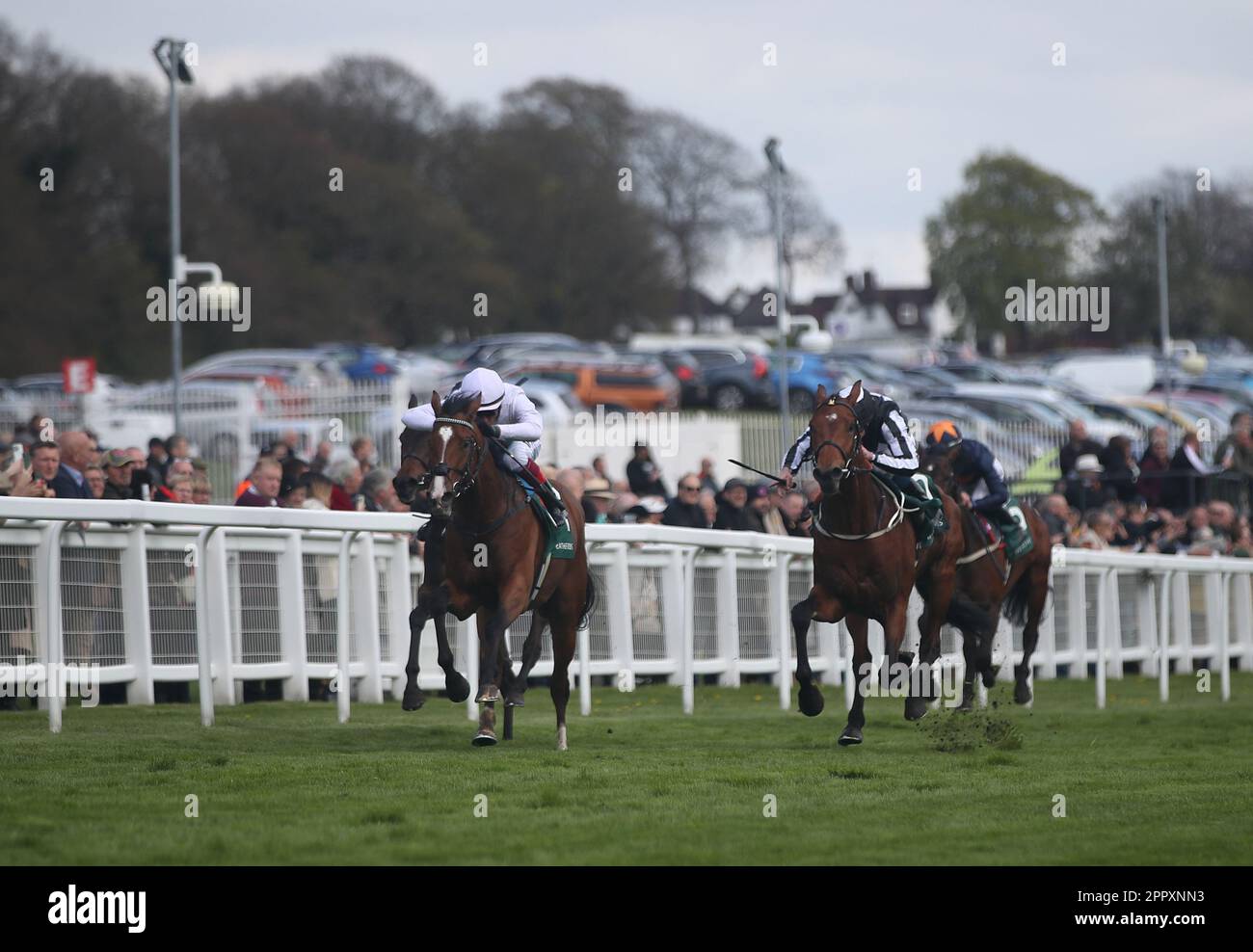 Epictetus and Frankie Dettori (left) coming home to win the Weatherbys ...