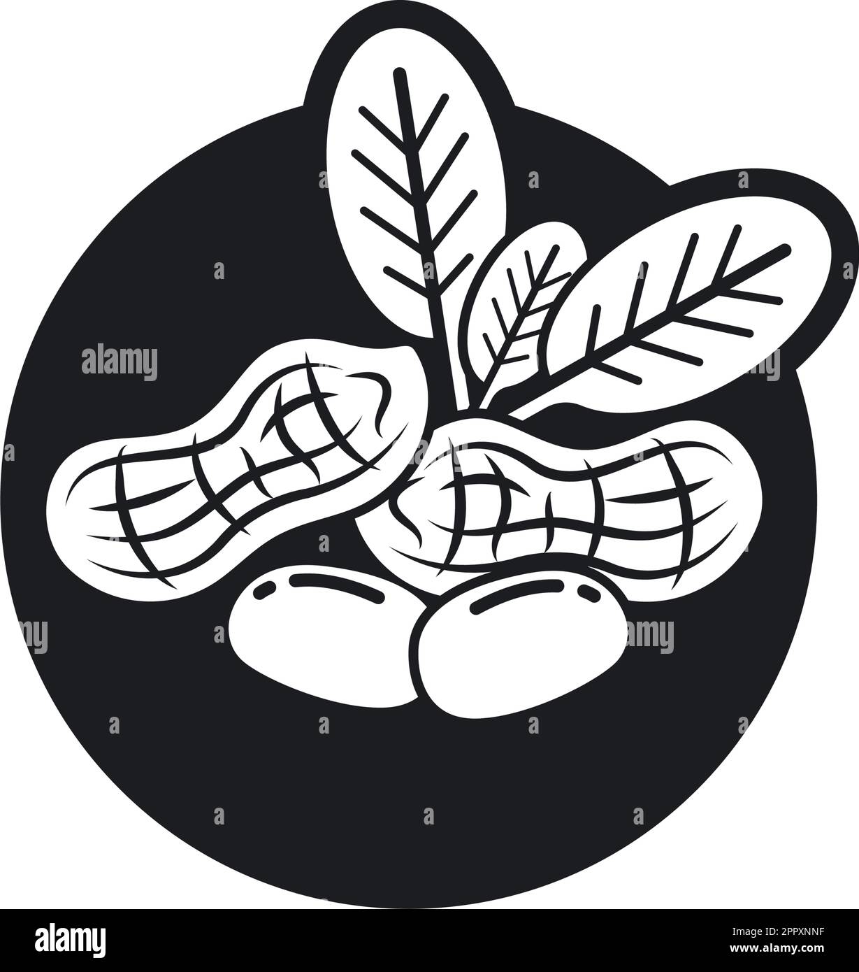 peanut vector icon illustration design template Stock Vector Image ...