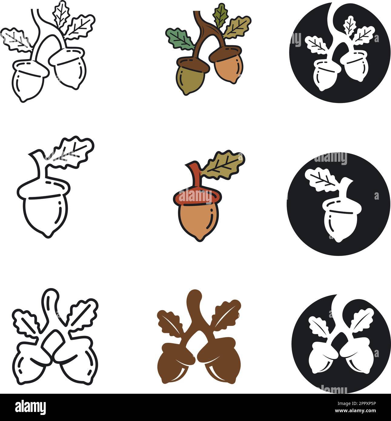 set of oak acorn vector illustration design Stock Vector Image & Art ...