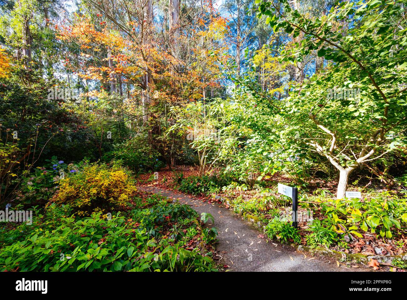 George Tindale Memorial Gardens in Australia Stock Photo - Alamy