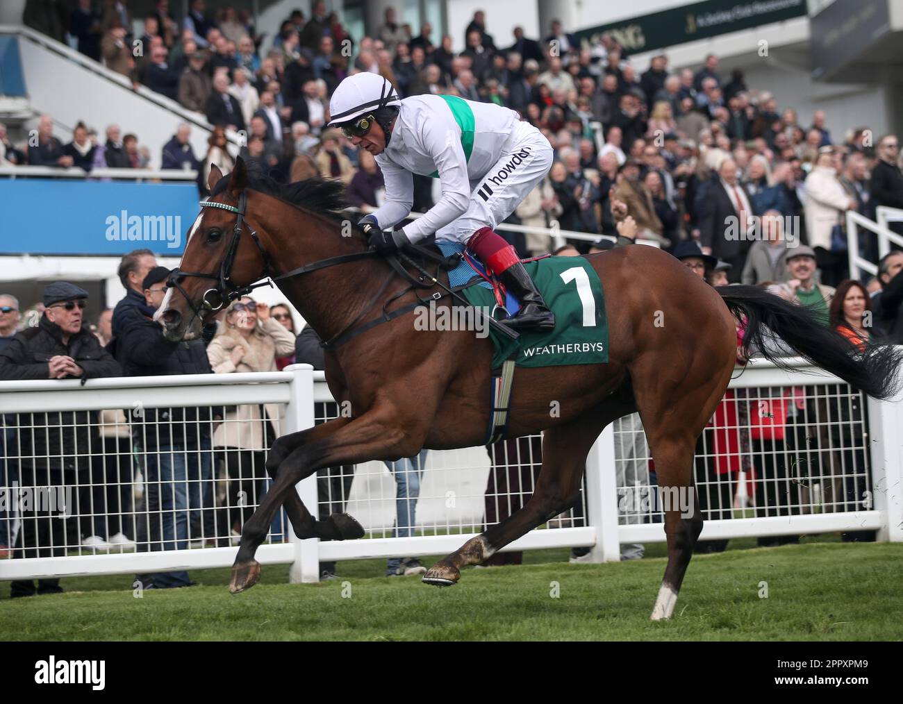 Epictetus horse hi-res stock photography and images - Alamy