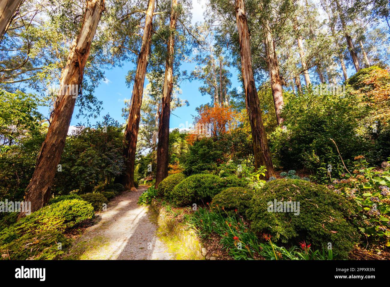George Tindale Memorial Gardens in Australia Stock Photo - Alamy