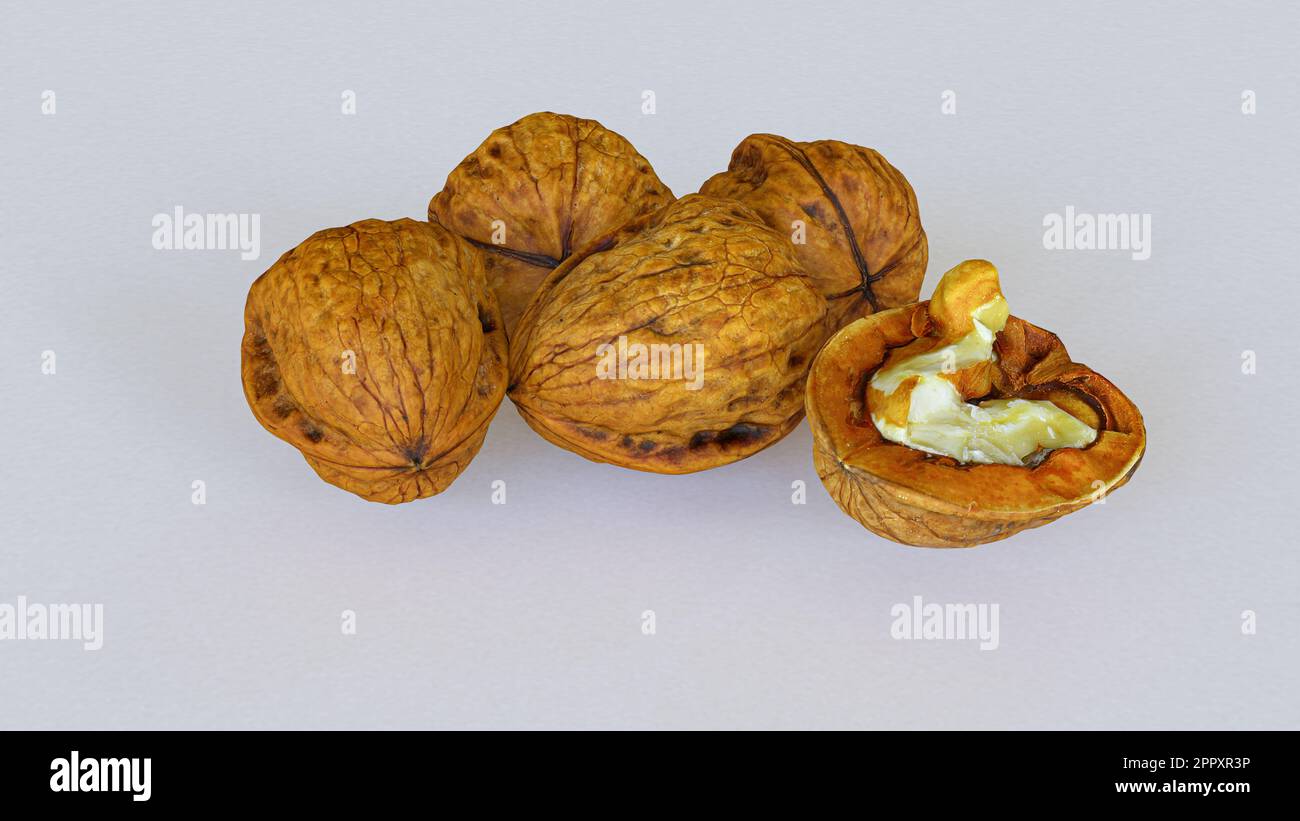 Close view of walnut kernels isolated on white background high quality ...