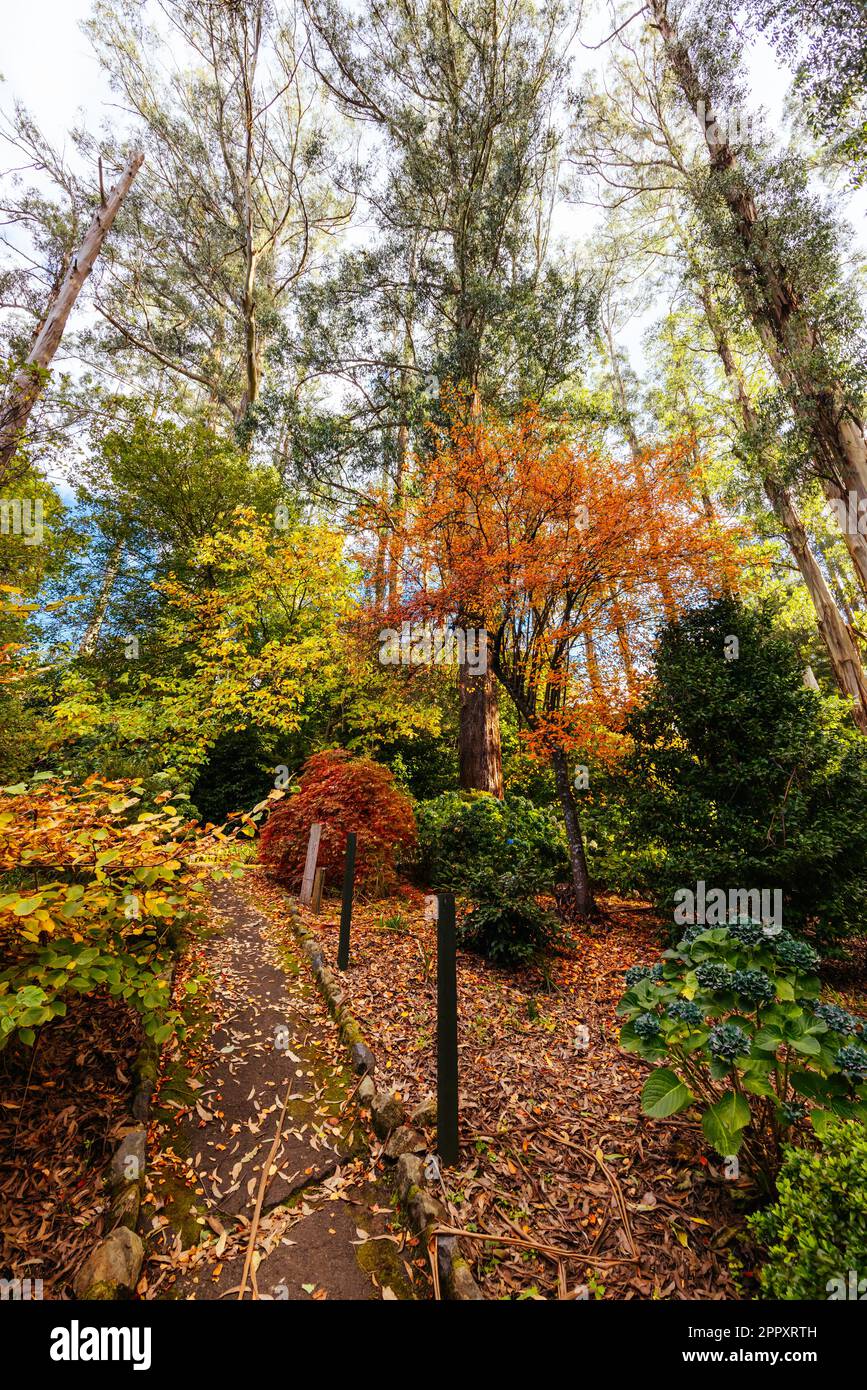 George Tindale Memorial Gardens in Australia Stock Photo - Alamy