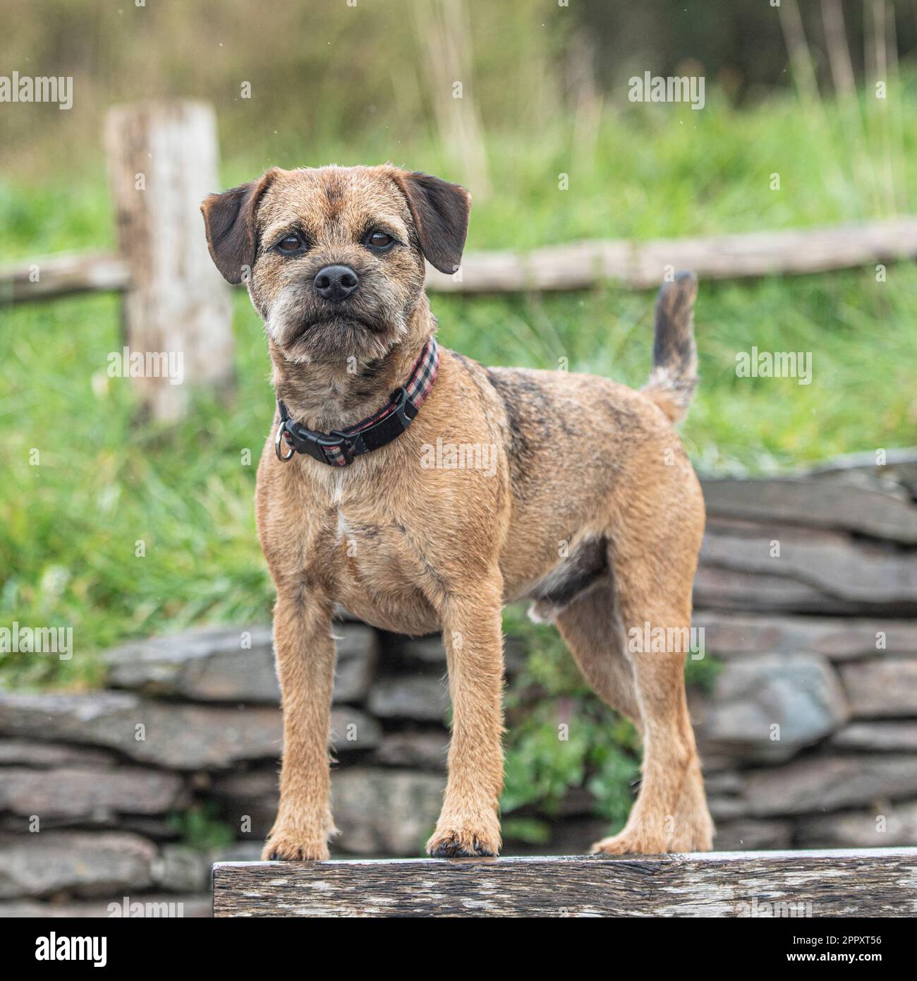 Wall poser hi-res stock photography and images - Alamy