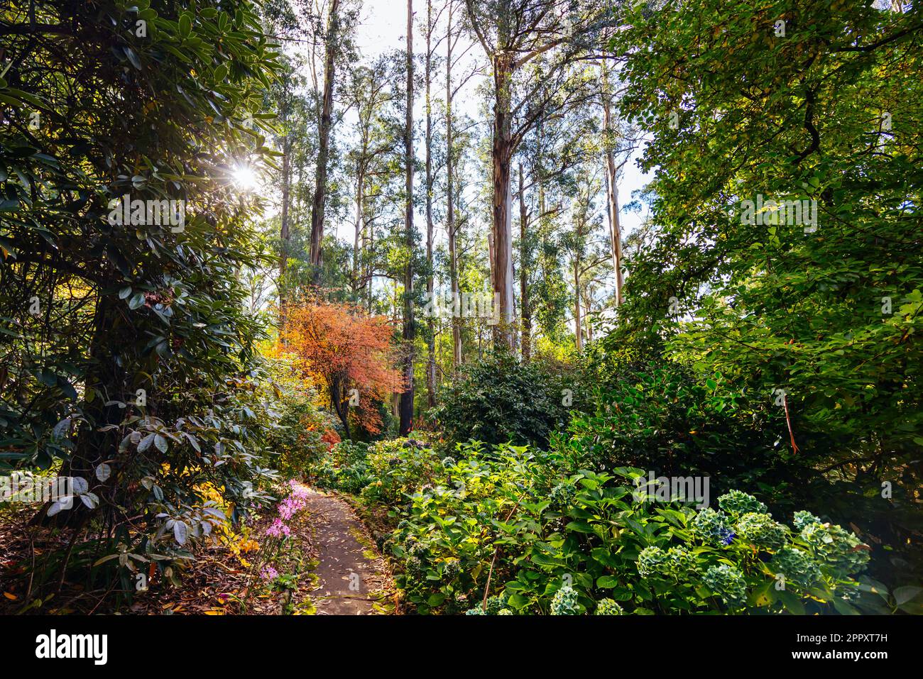 George Tindale Memorial Gardens in Australia Stock Photo - Alamy
