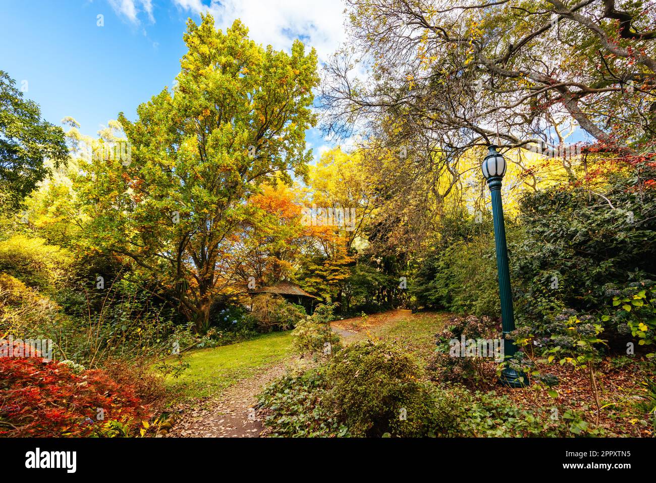 George Tindale Memorial Gardens in Australia Stock Photo - Alamy