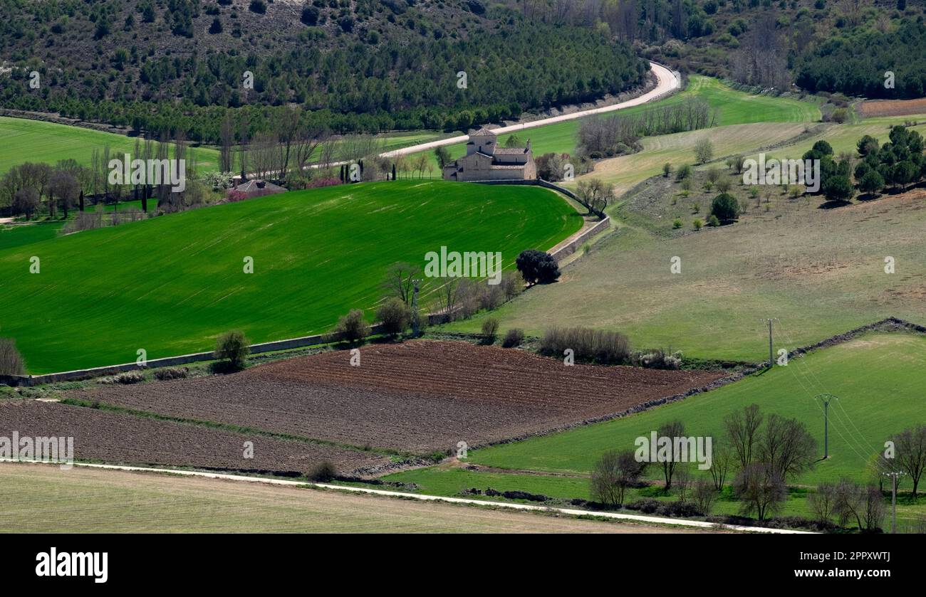 view of the vast green plains from uruena, small medieval town in spain ...
