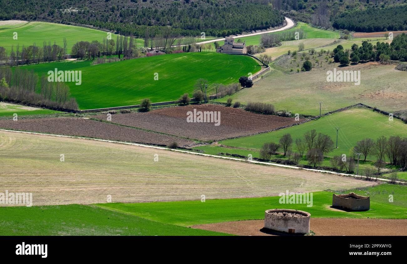 view of the vast green plains from uruena, small medieval town in spain ...