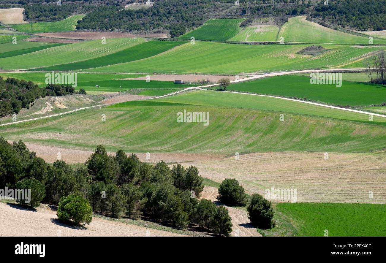 view of the vast green plains from uruena, small medieval town in spain ...