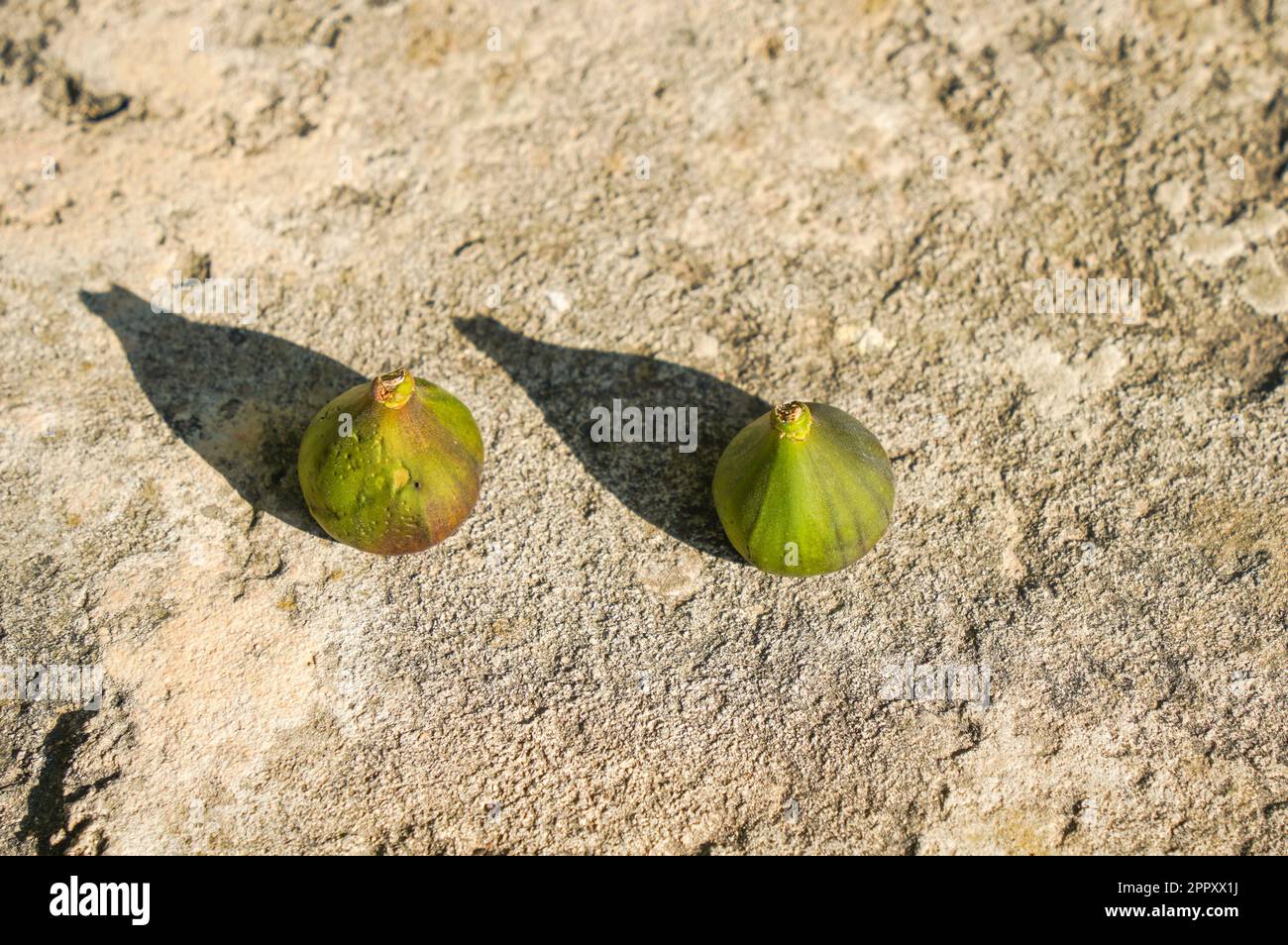 Two Common figs on concrete background with shadow Stock Photo - Alamy