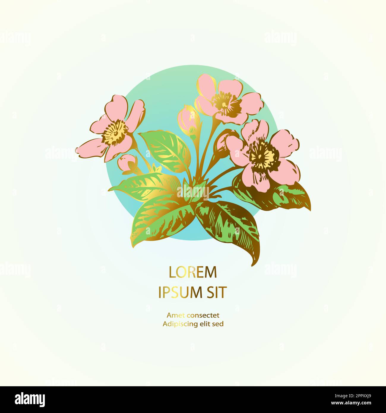 Drawing sakura flowers leaves on branches circle frame celebration ...