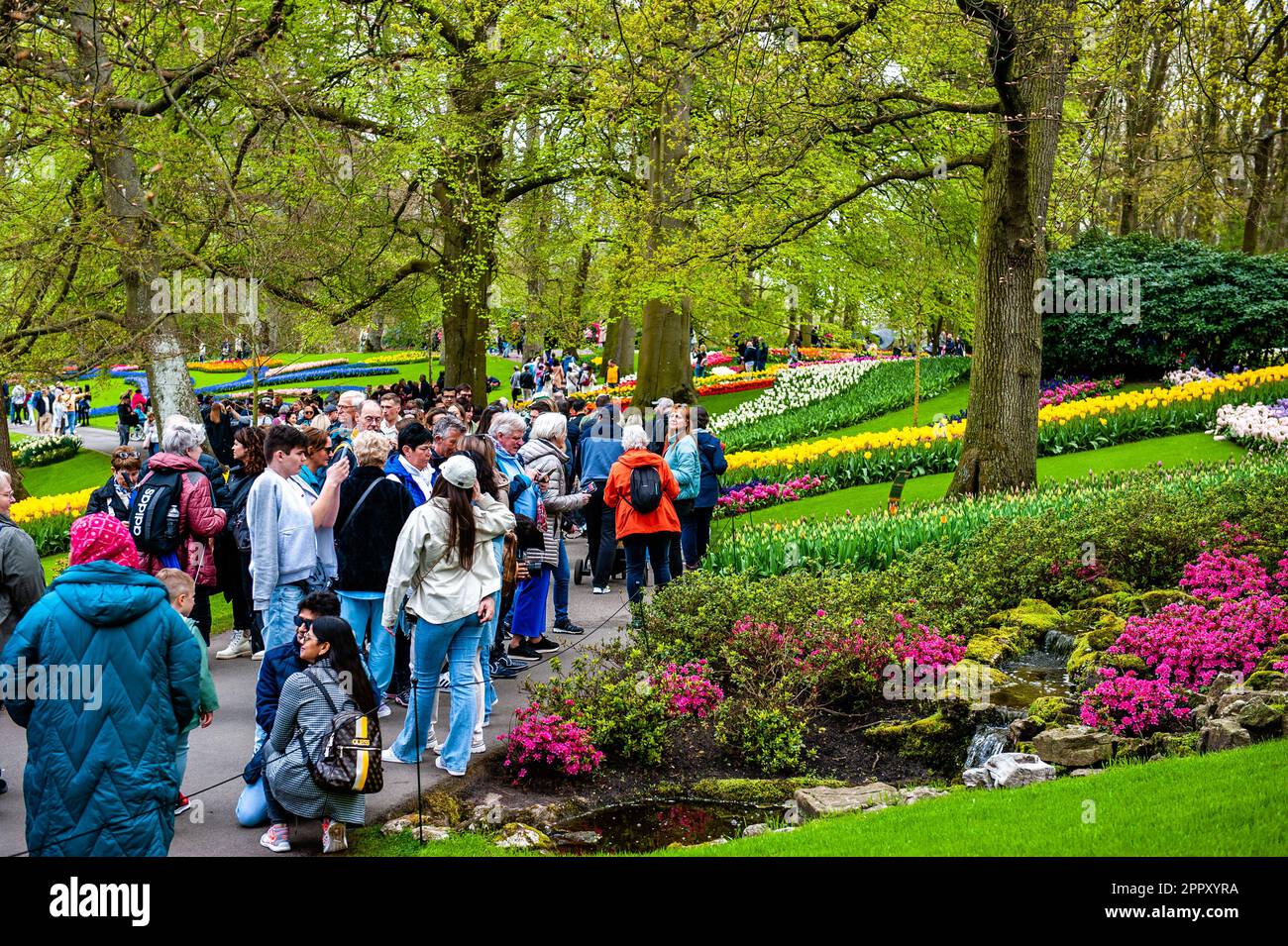 Visitors are seen walking along the garden. Keukenhof is also known as ...
