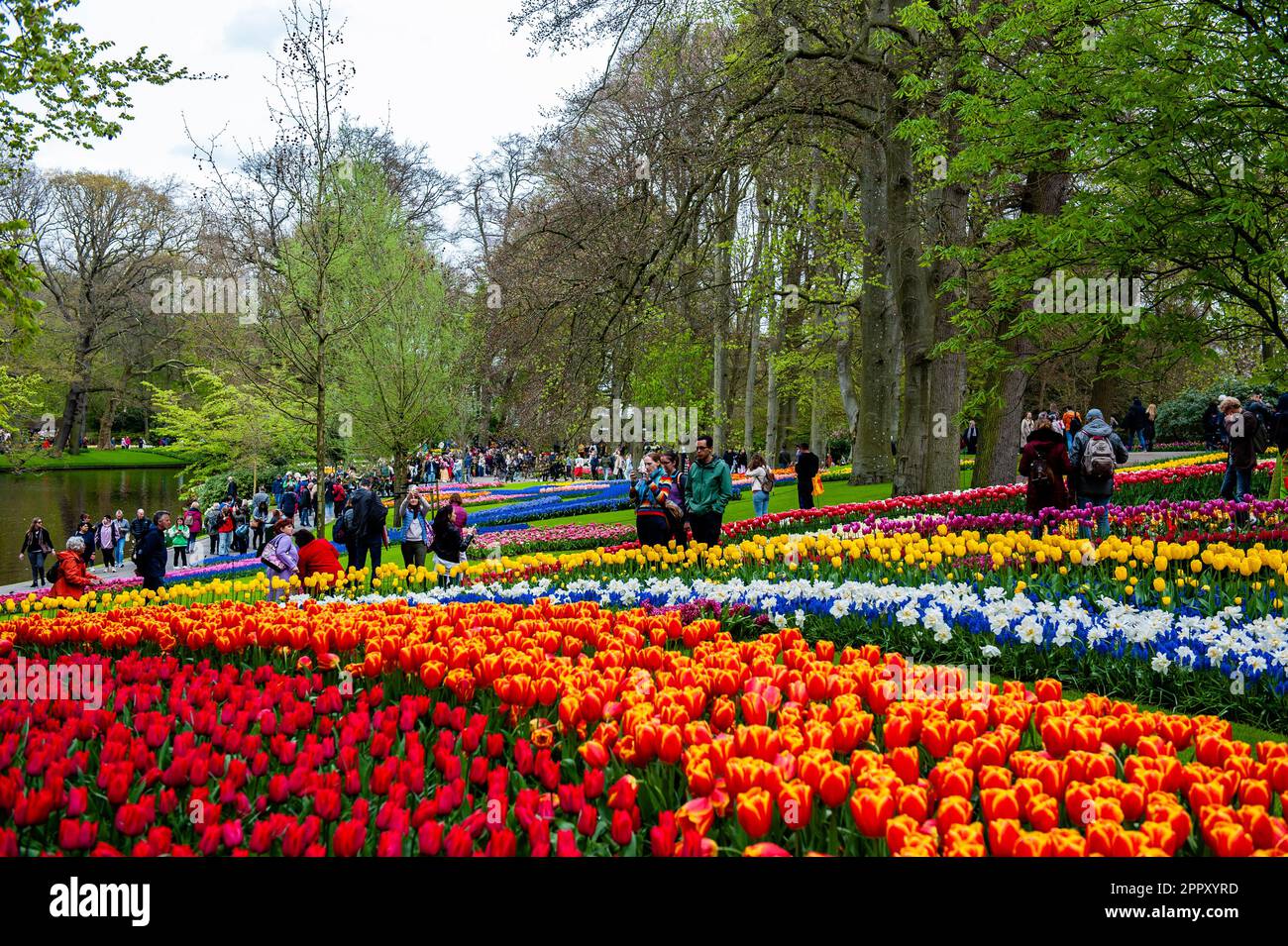 Visitors are seen walking through all different kinds of flowers ...