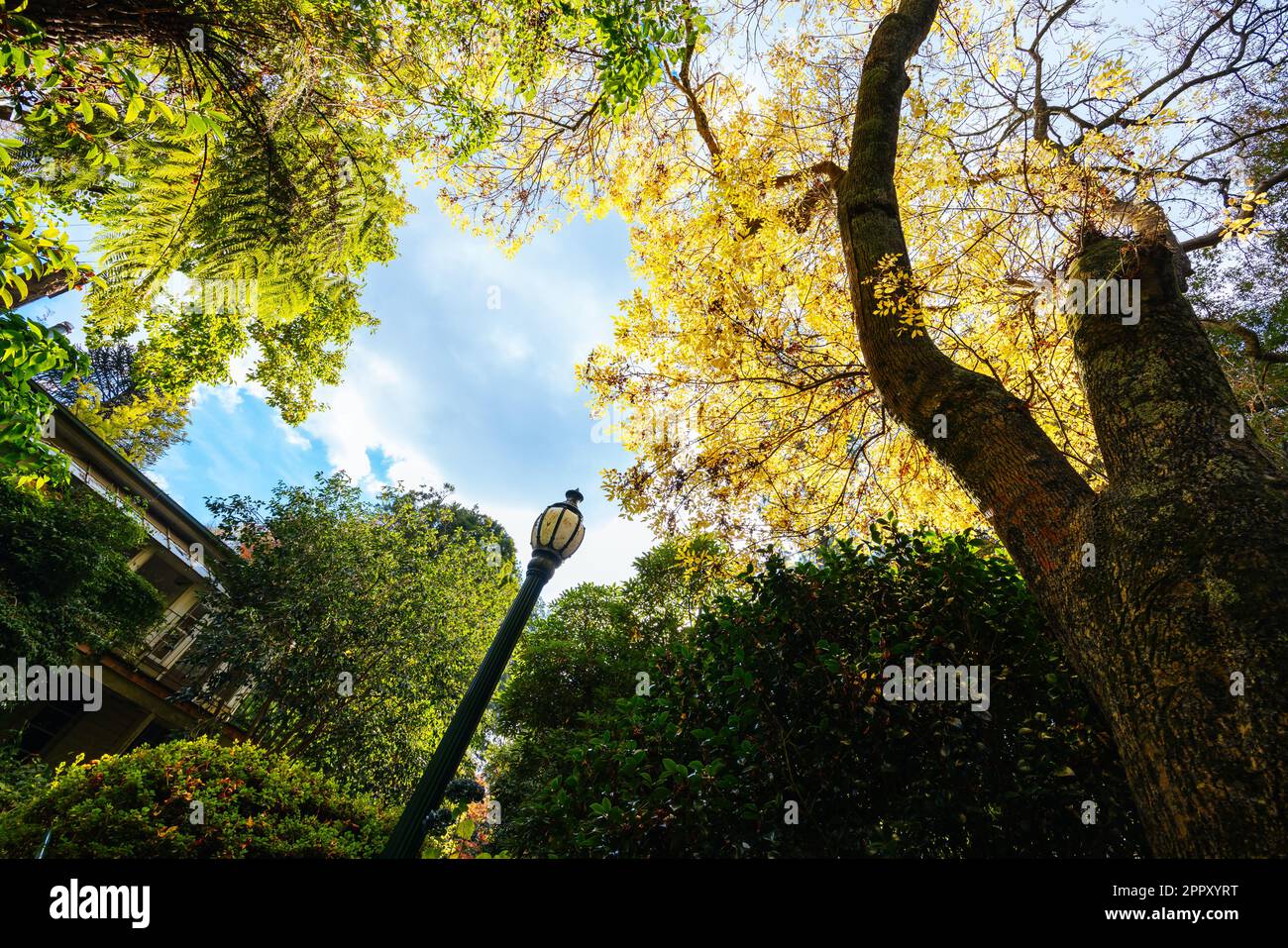 George Tindale Memorial Gardens in Australia Stock Photo - Alamy