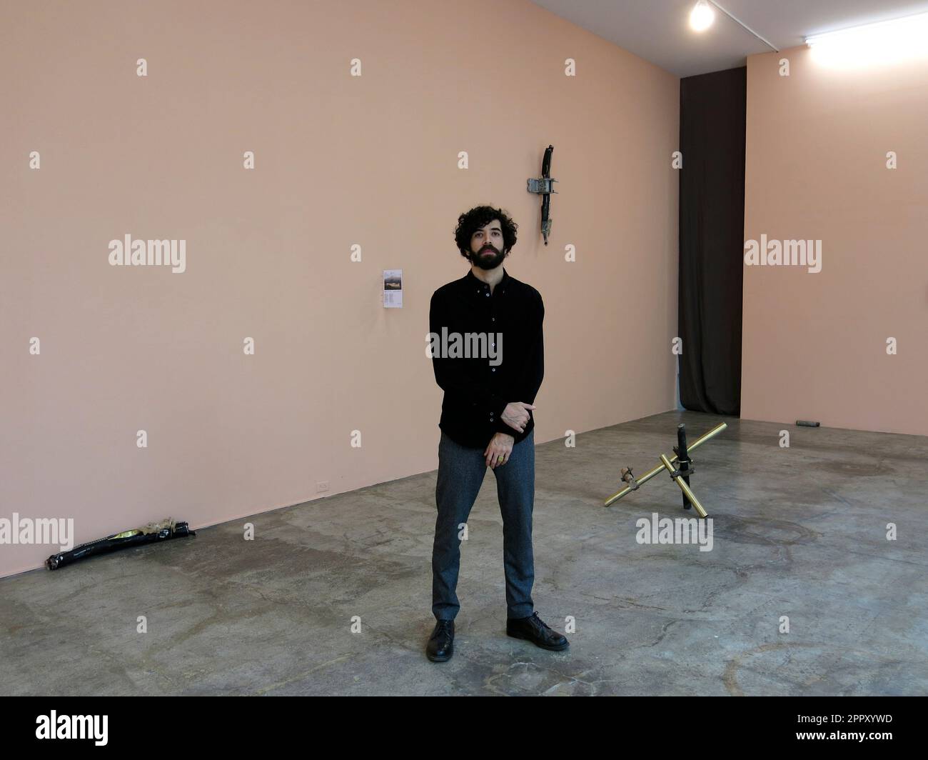 Brazilian artist Daniel de Paula poses for a photo at his solo ...