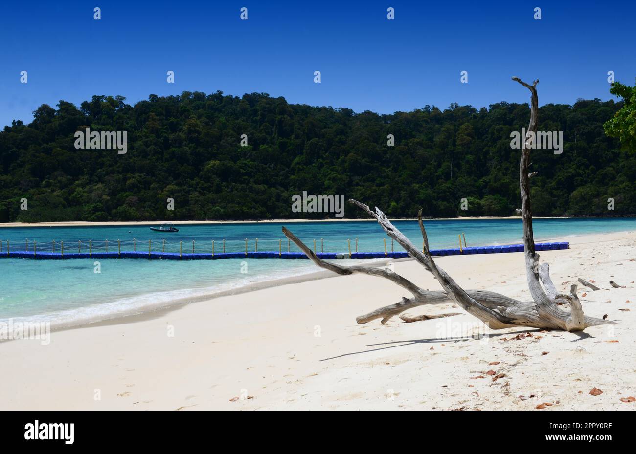 Koh Rok (Rok Island) is a small archipelago in southern Thailand in the ...