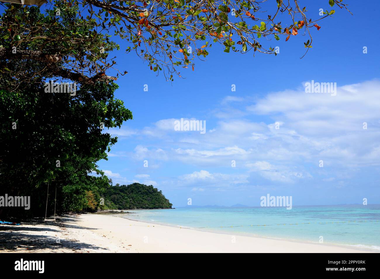 Koh Rok (Rok Island) is a small archipelago in southern Thailand in the ...