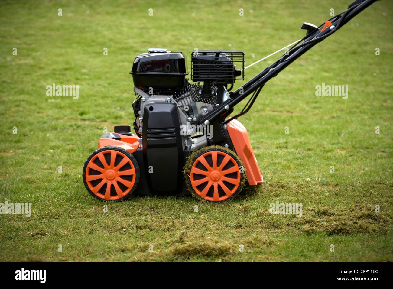 view of a scarifier removing moss from the lawn in a garden Stock Photo ...
