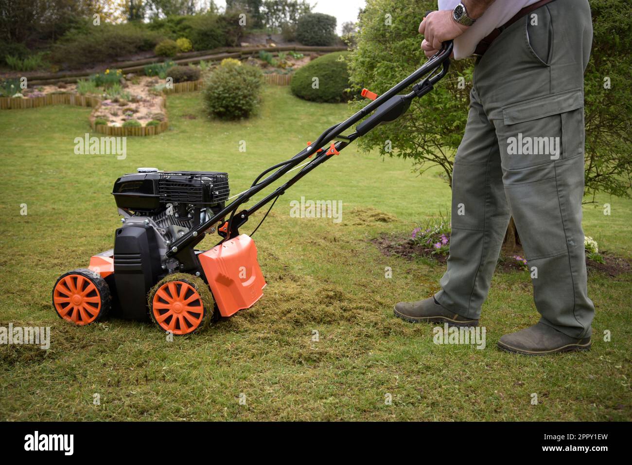view of a scarifier removing moss from the lawn in a garden Stock Photo ...