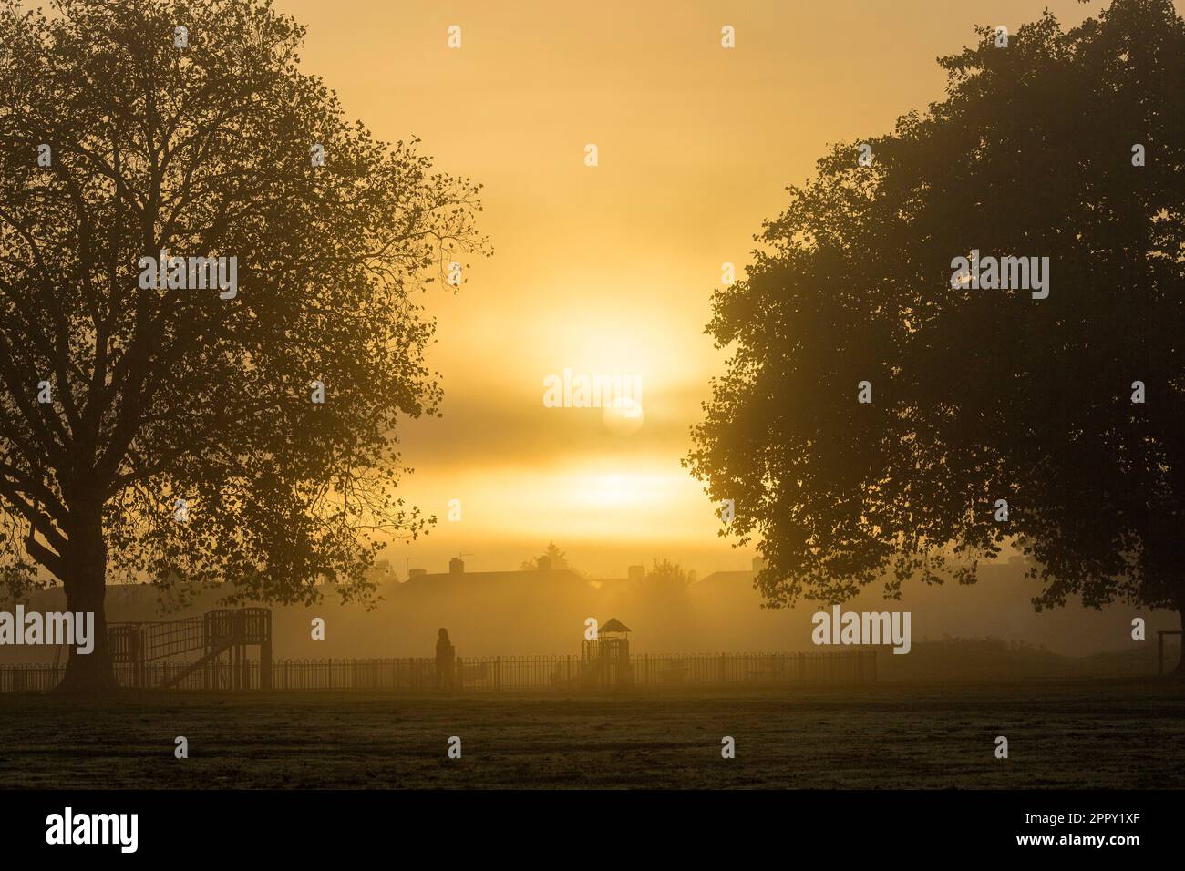 Dense fog england hi-res stock photography and images - Alamy